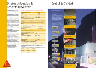 concreto-proyectado-sika en tuneles | PDF