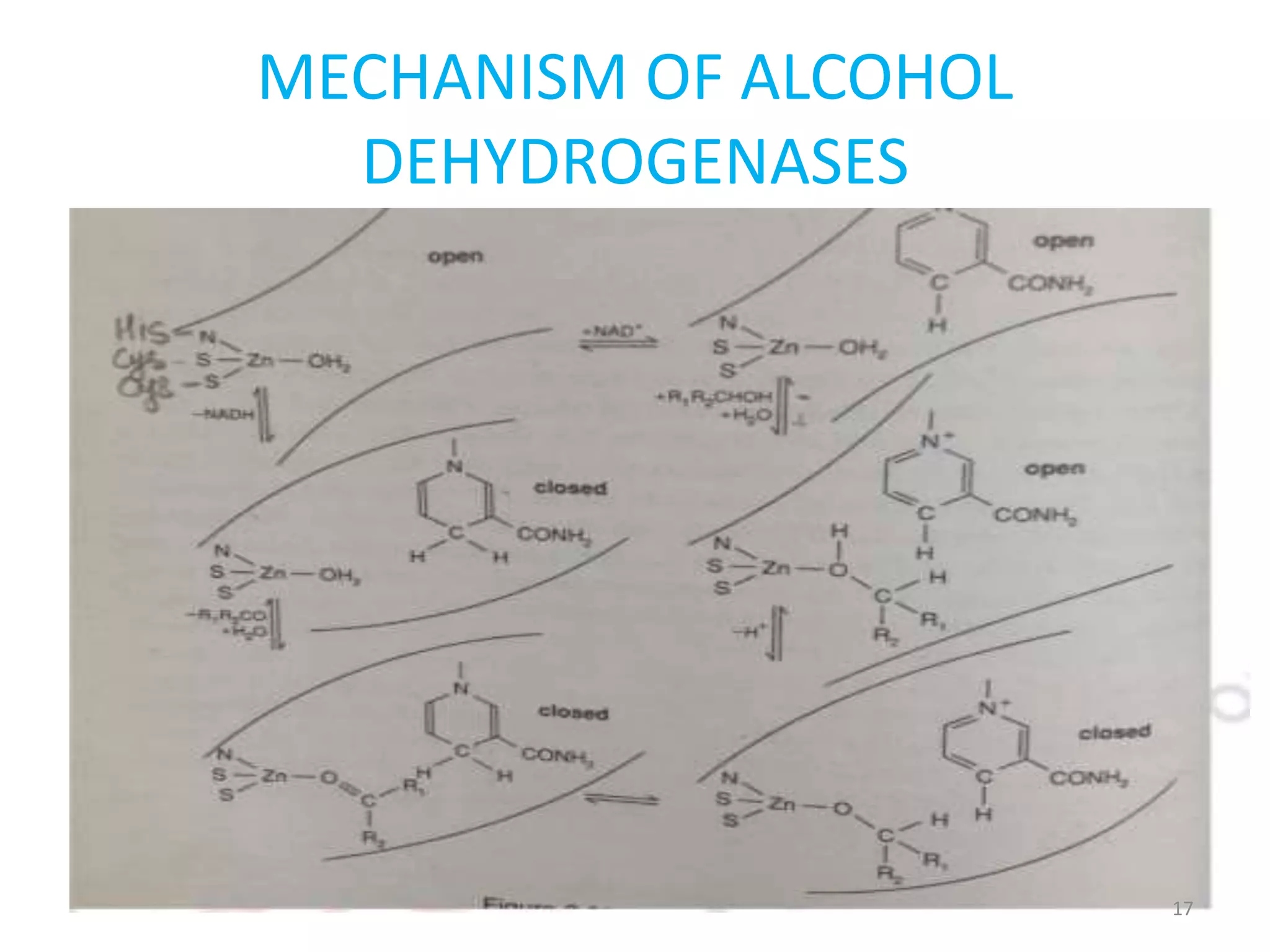 Zinc metalloenzymes | PPTX
