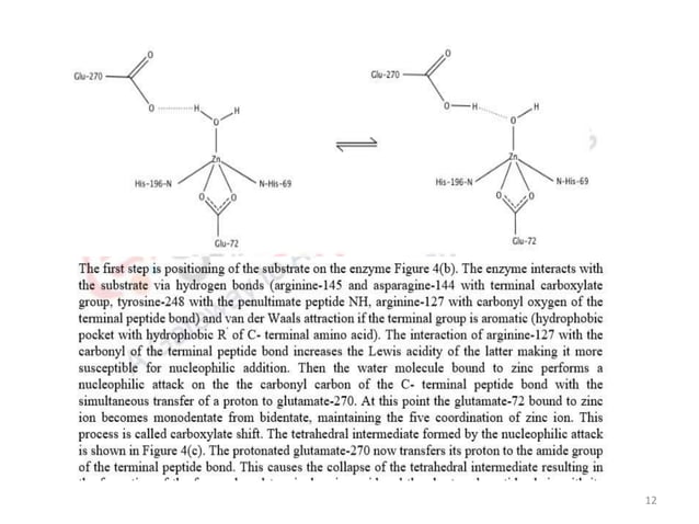 Zinc metalloenzymes | PPTX | Chemistry | Science