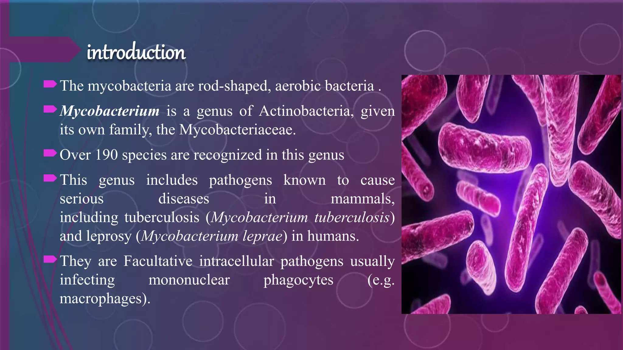 Mycobacterium tuberculosis by Sikander ali Sumalani | PPTX
