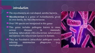 Mycobacterium tuberculosis by Sikander ali Sumalani | PPTX