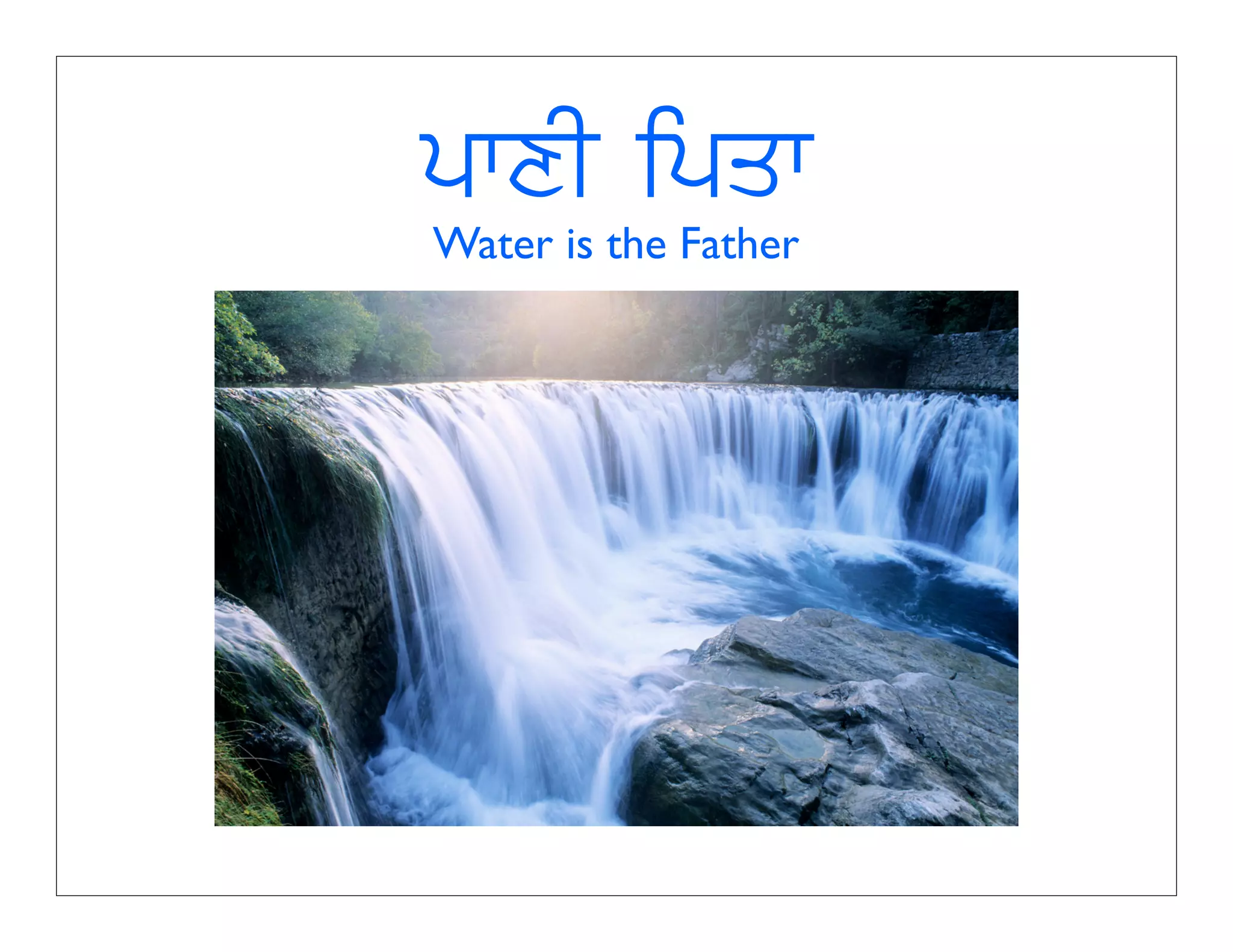 Sikh Environment Day 2011- San Jose Gurdwara | PDF