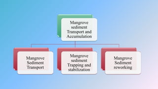 Tropical Coastal Environment processes and hazards | PPT