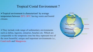 Tropical Coastal Environment processes and hazards | PPT