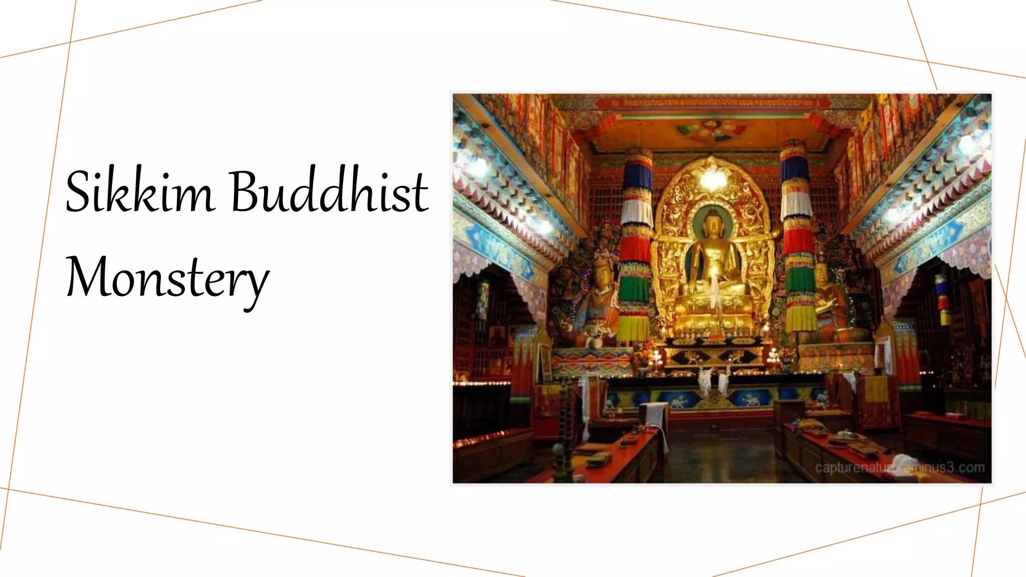 Sikkim Project File (presentation) | PPTX