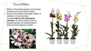 Sikkim Project File (presentation) | PPTX