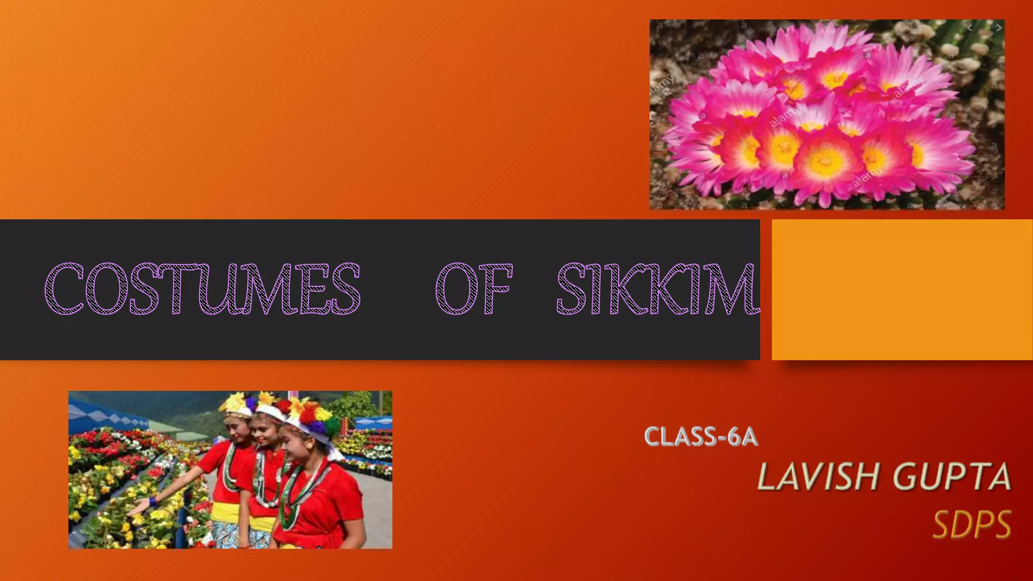 Sikkim .ppt