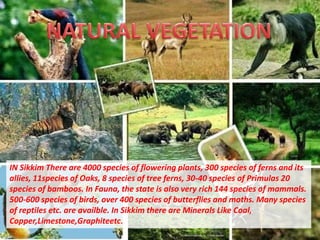 SIKKIM.pptx