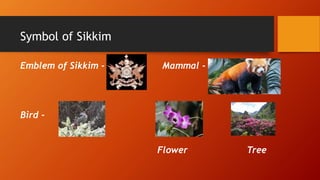 Sikkim pptx file, It contain everything about Sikkim and it's features ...