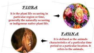 sikkim beauty and its diverse flora and fauna.pptx