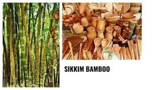 SIKKIM AND SCIENCE.pptx