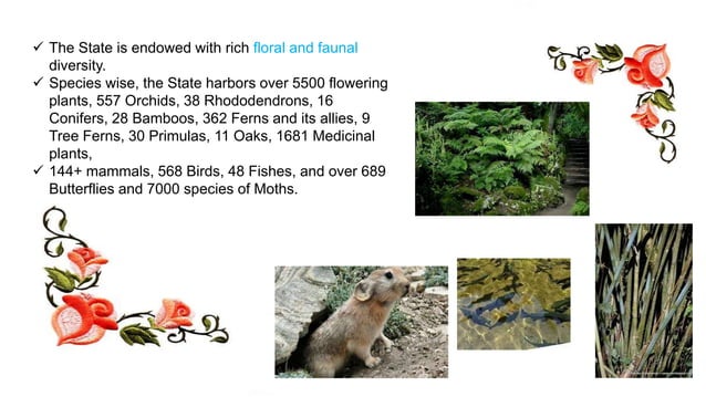 Sikkim Art Integration Project Presentation | PPTX