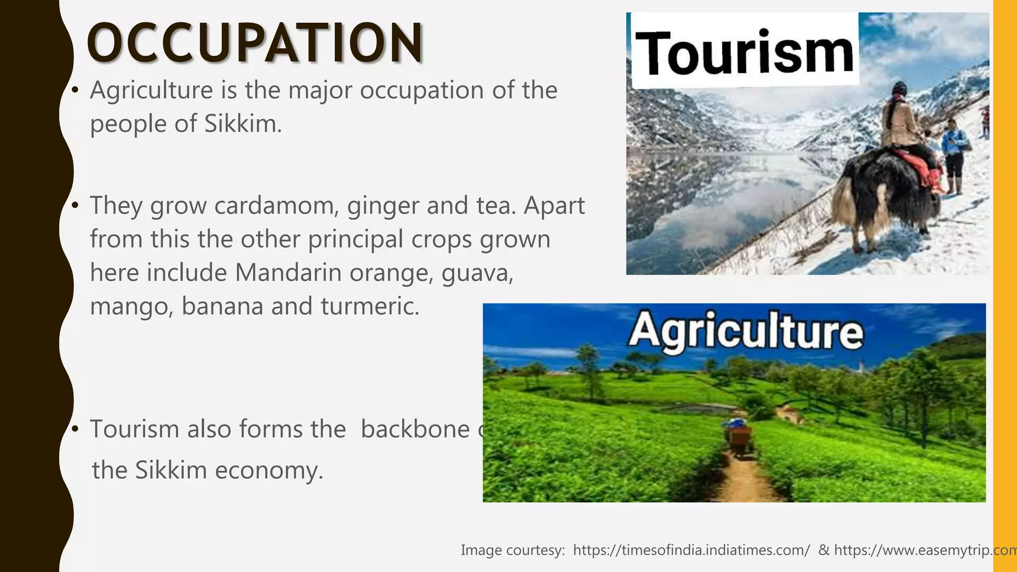 Sikkim culture | PPSX