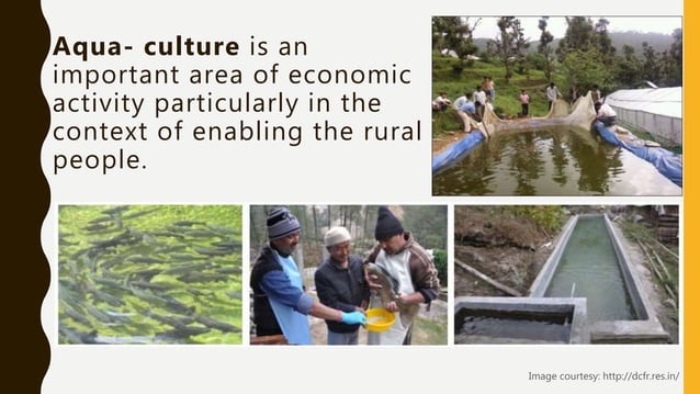 Sikkim culture | PPSX