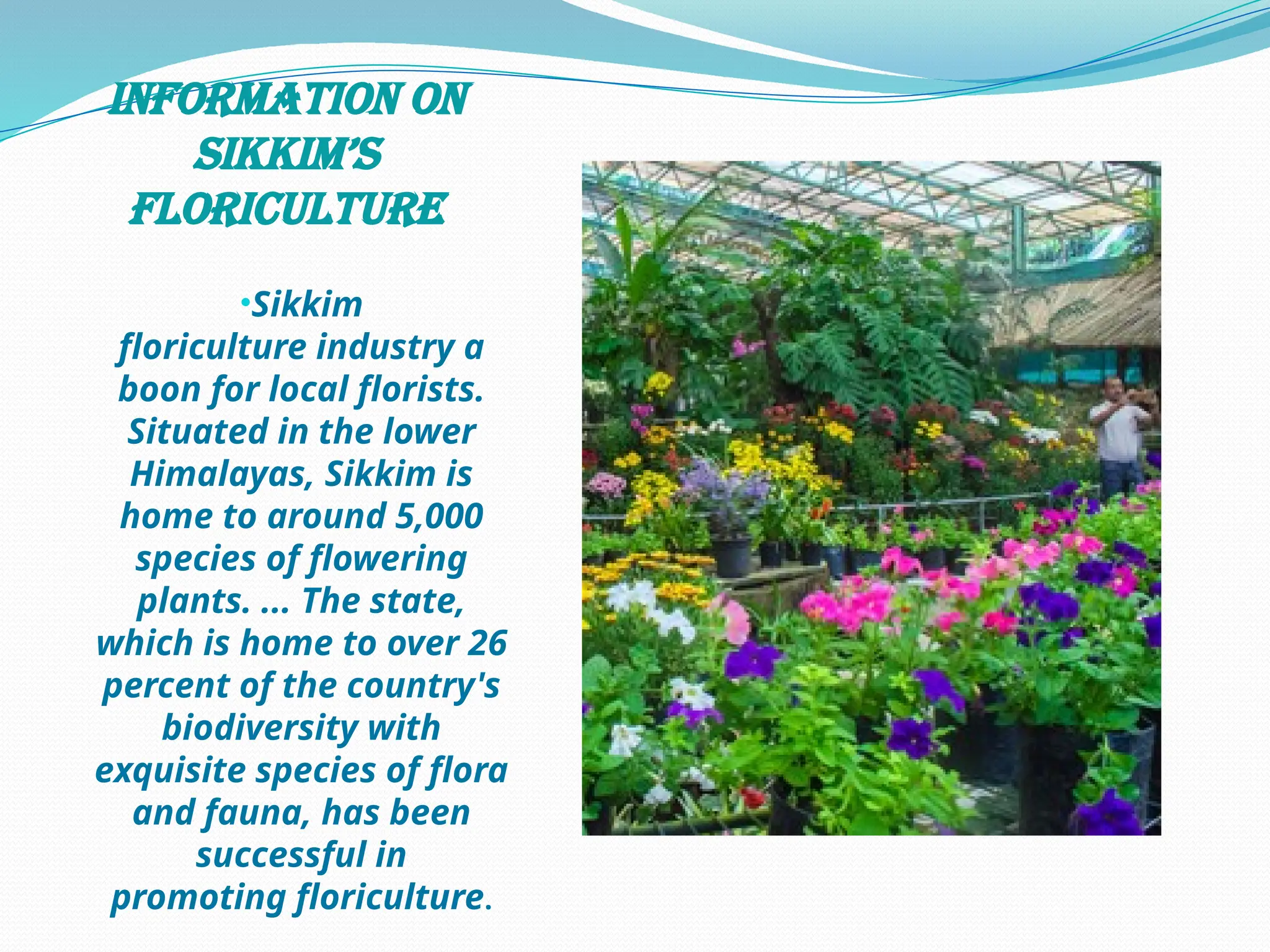 SIKKIM PROJECT OF SCIENCE PPT of floriculture | PPTX
