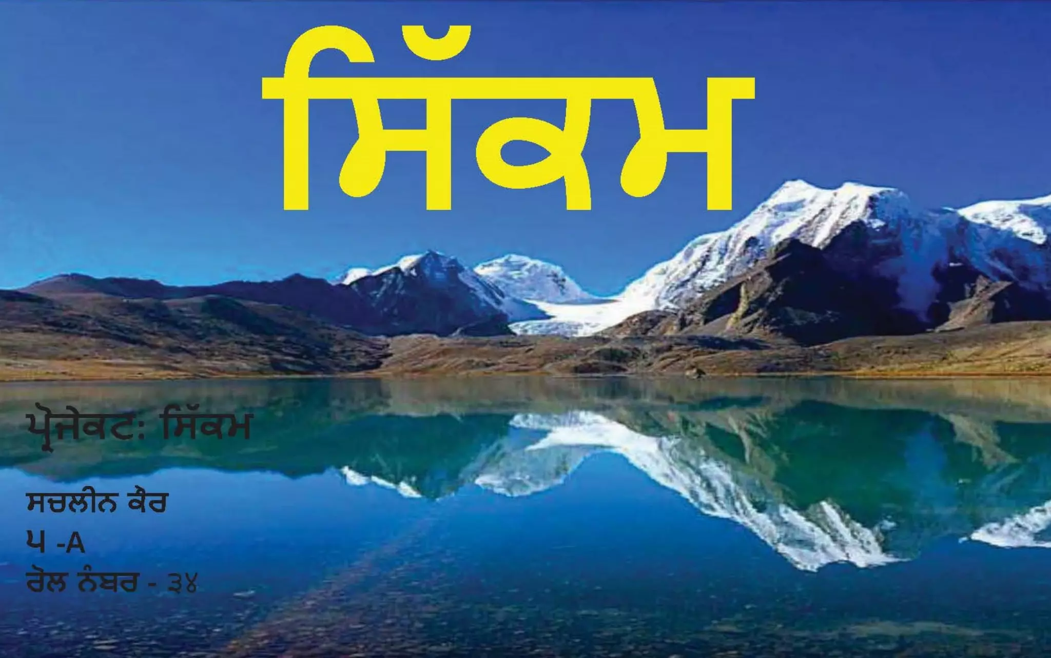 Sikkim project punjabi | PDF