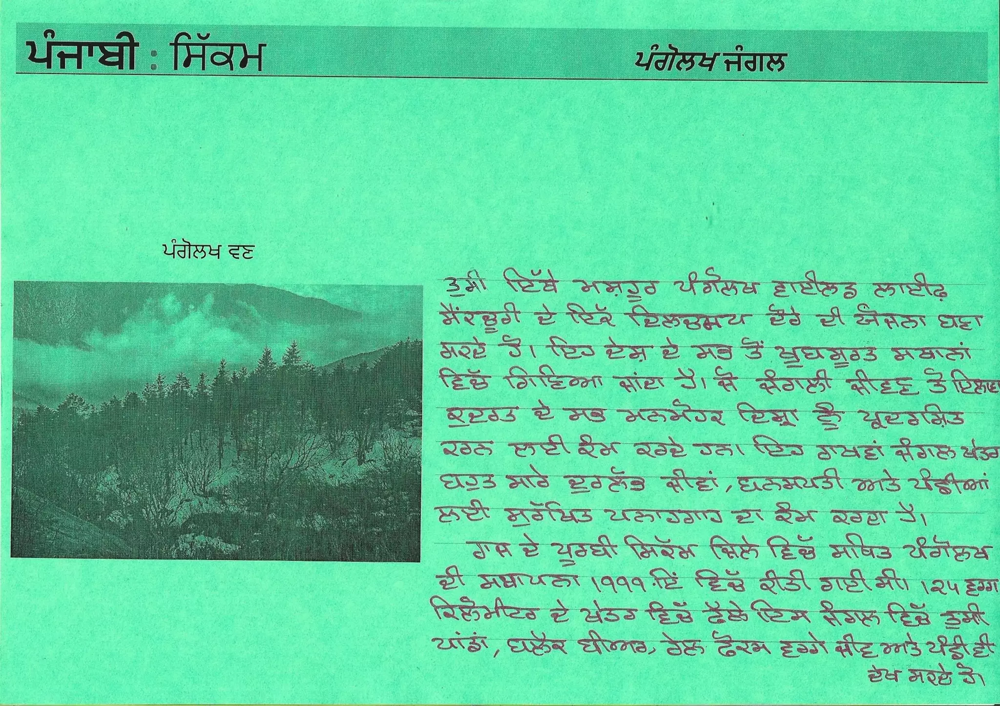 Sikkim project punjabi | PDF