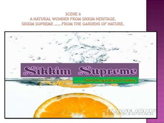 Sikkim Supreme Tvc Script | PPT
