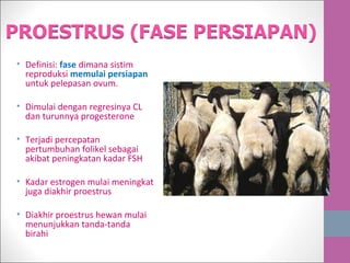 Siklus reproduksi | PPT