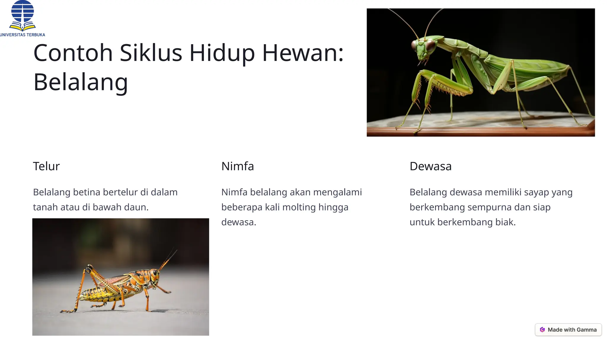 Siklus-Hidup-Manusia kelas lima sekolah dasar full | PPTX