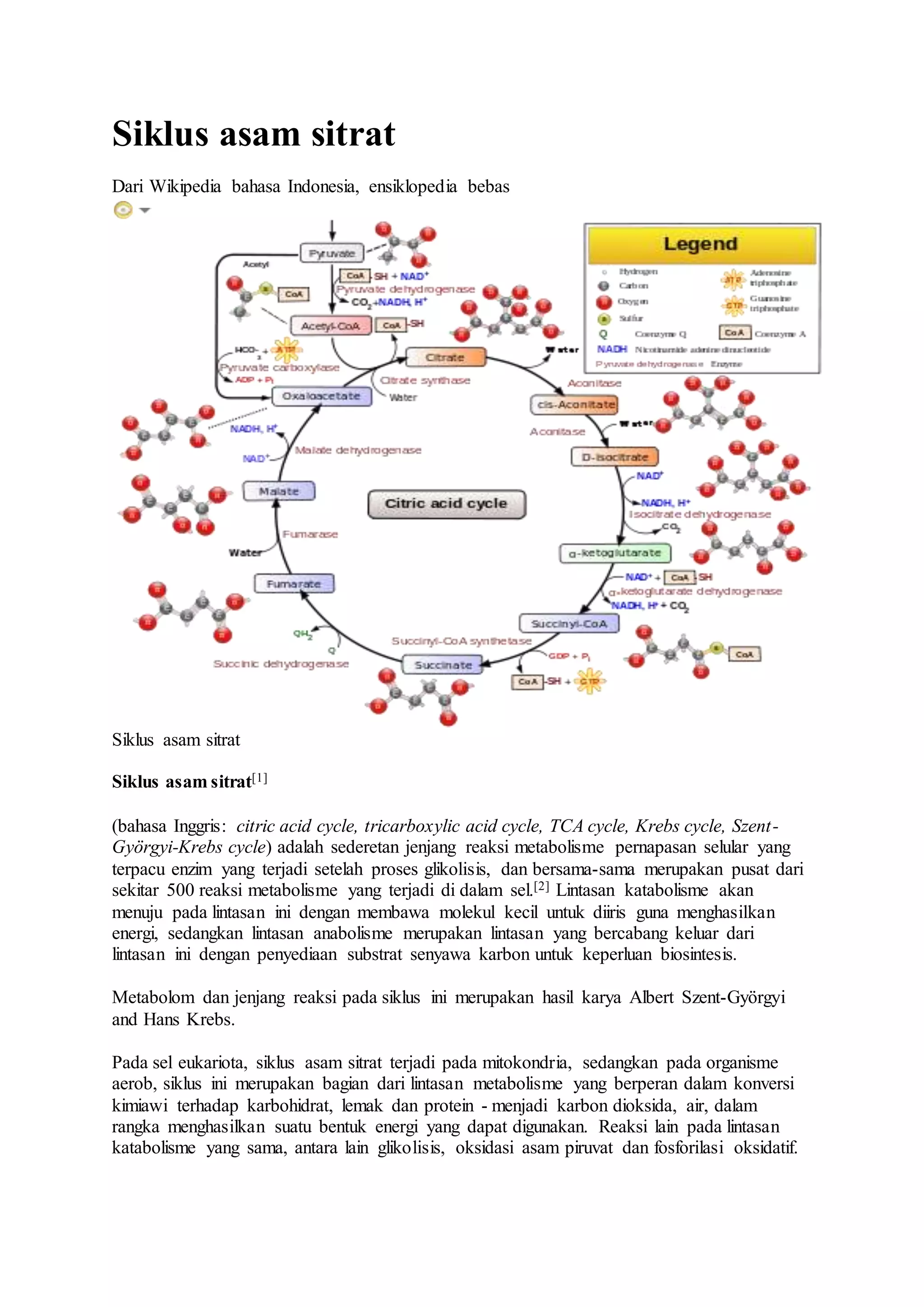 Siklus asam sitrat | DOCX