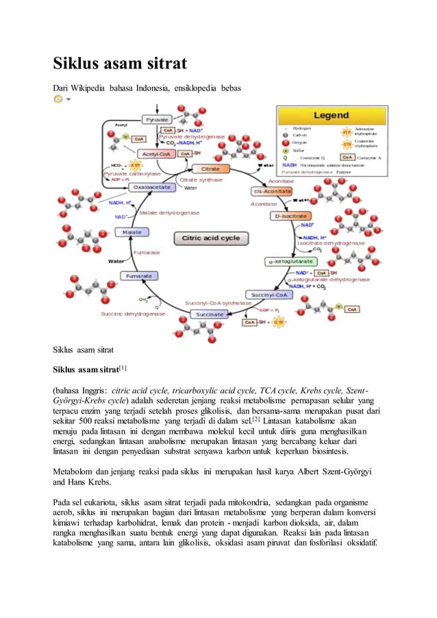 Siklus asam sitrat | PDF