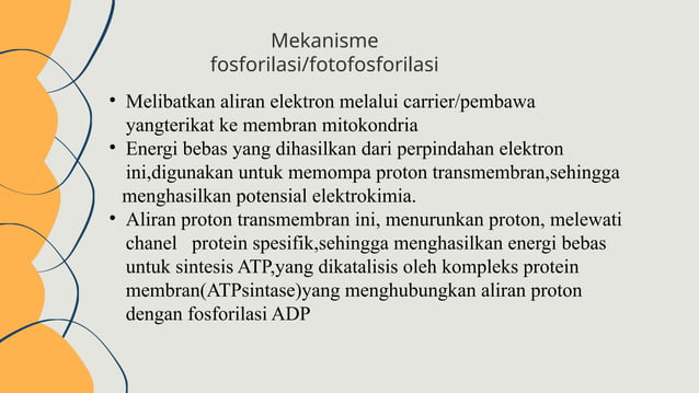 Siklus Asam Sitrat dan Fosforilasi Oksidatif .Kelompok m.pptx