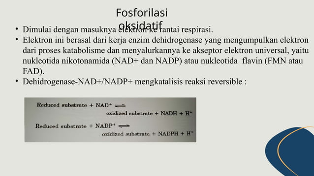 Siklus Asam Sitrat dan Fosforilasi Oksidatif .Kelompok m.pptx