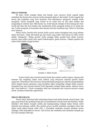 Siklus biogeokimia | PDF