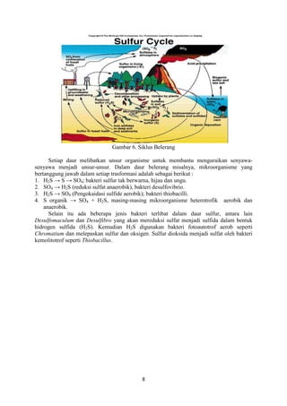 Siklus biogeokimia | PDF