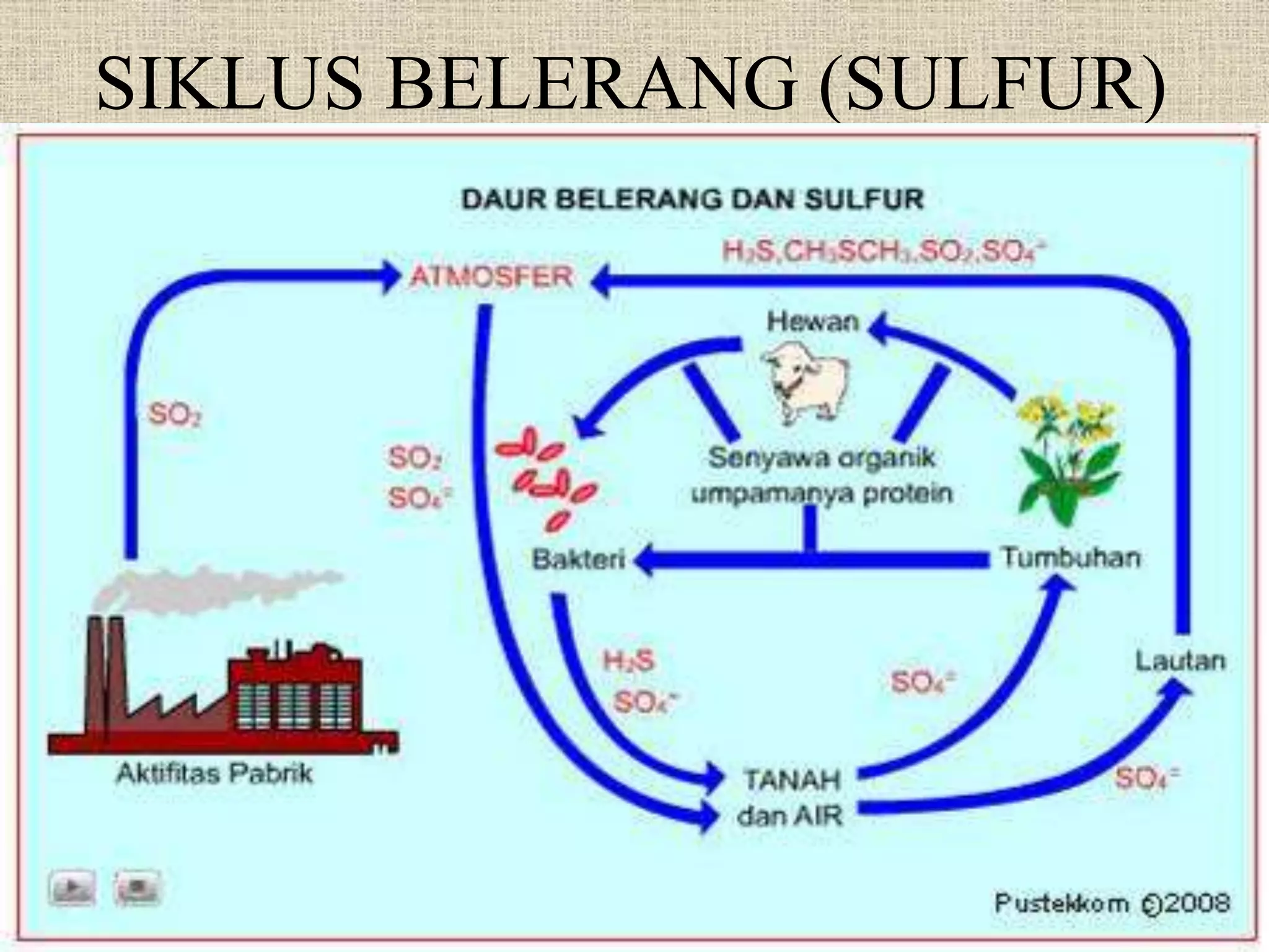 Siklus biogeokimia | PPTX