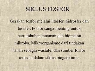 Siklus biogeokimia | PPT
