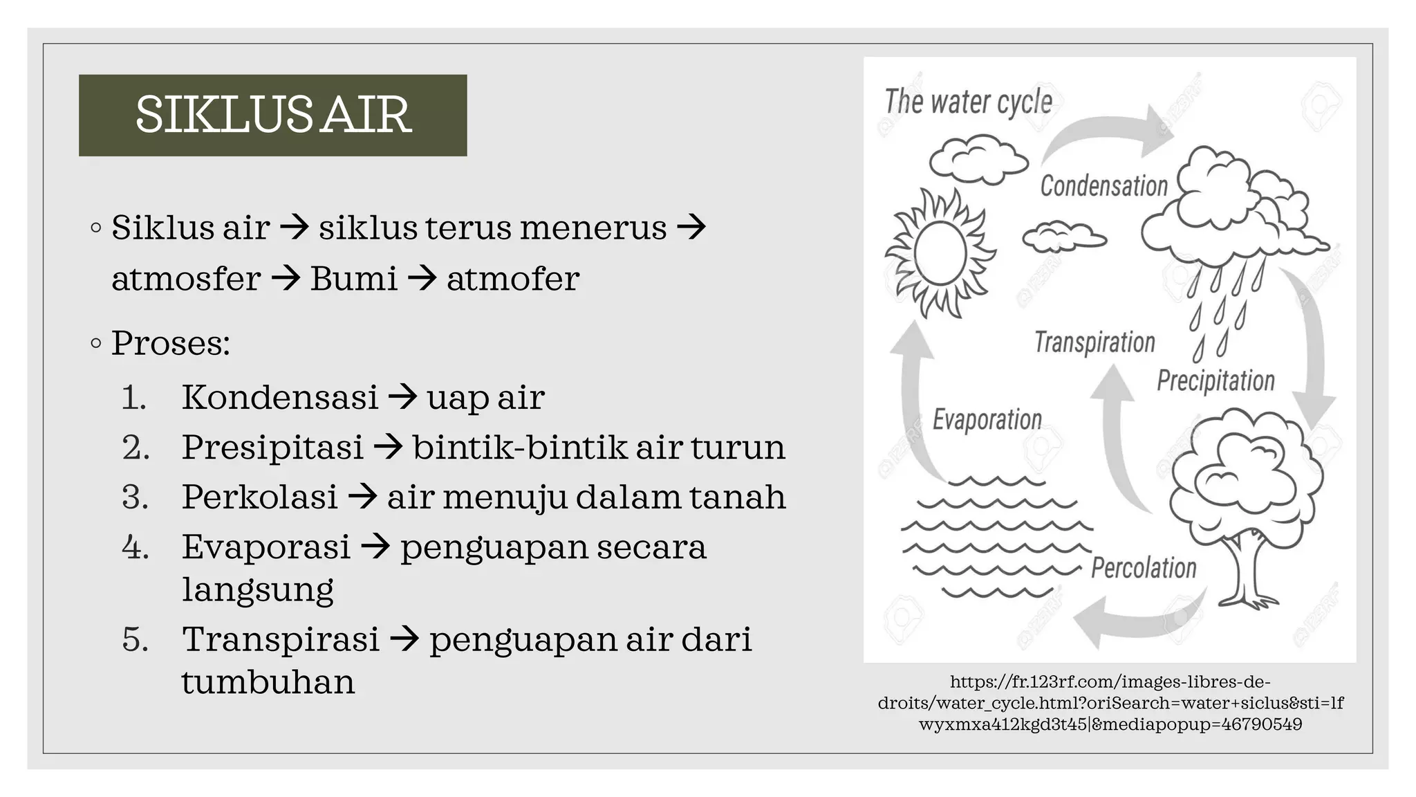 Siklus Biogeokimia | PDF