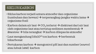 Siklus Biogeokimia | PDF