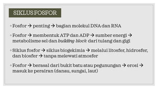 Siklus Biogeokimia | PDF