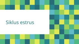 SIKLUS ESTRUS PADA TERNAK BETINA DAN TERNAK JANTAN | PPTX
