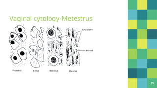 SIKLUS ESTRUS PADA TERNAK BETINA DAN TERNAK JANTAN | PPTX