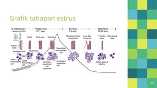 SIKLUS ESTRUS PADA TERNAK BETINA DAN TERNAK JANTAN | PPTX