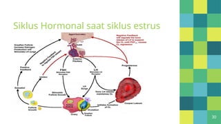 SIKLUS ESTRUS PADA TERNAK BETINA DAN TERNAK JANTAN | PPTX