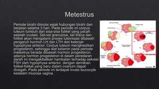 Siklus estrus pada sapi (kelompok 2) | PPTX
