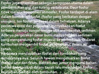 Siklus fosfor | PPT