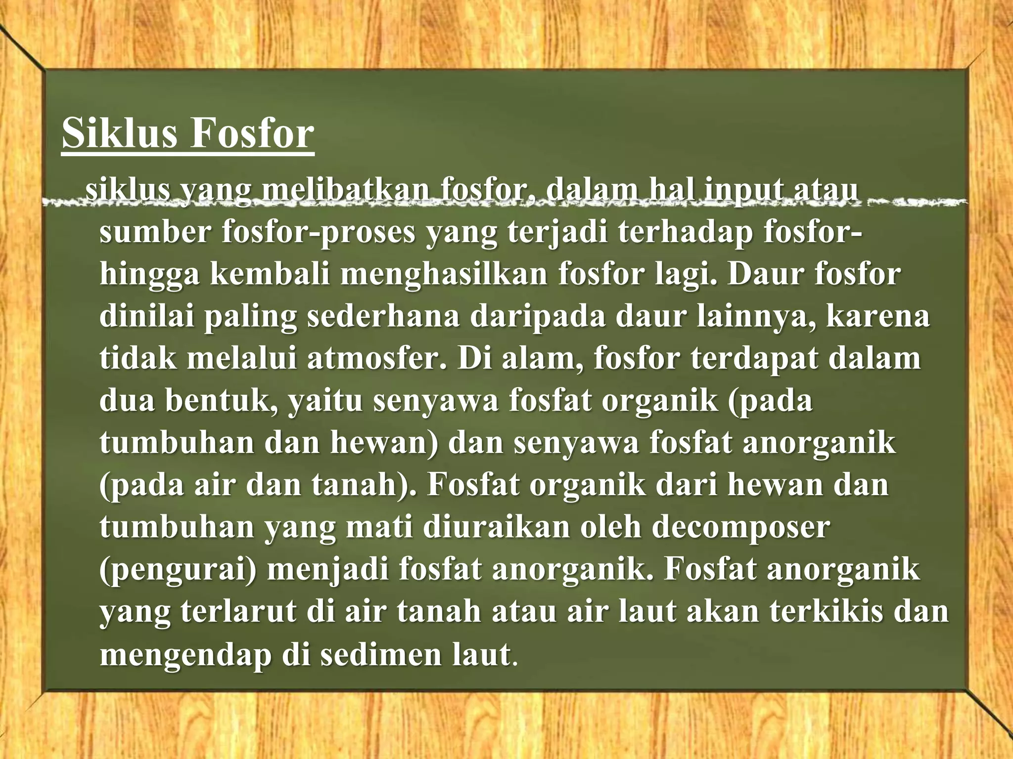 Siklus fosfor dan sulfur | PPTX