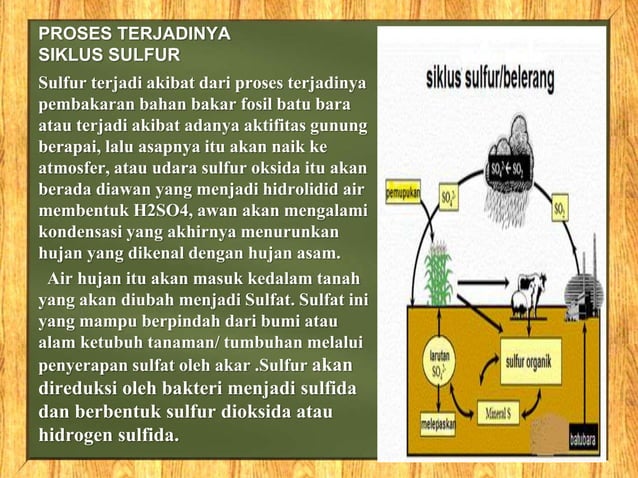 Siklus fosfor dan sulfur