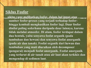 Siklus fosfor dan sulfur | PPT