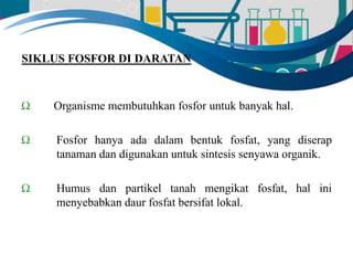 Siklus fospor | PPT