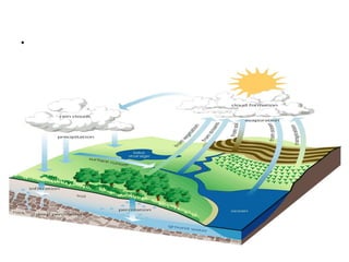 Siklus hidrologi | PPT