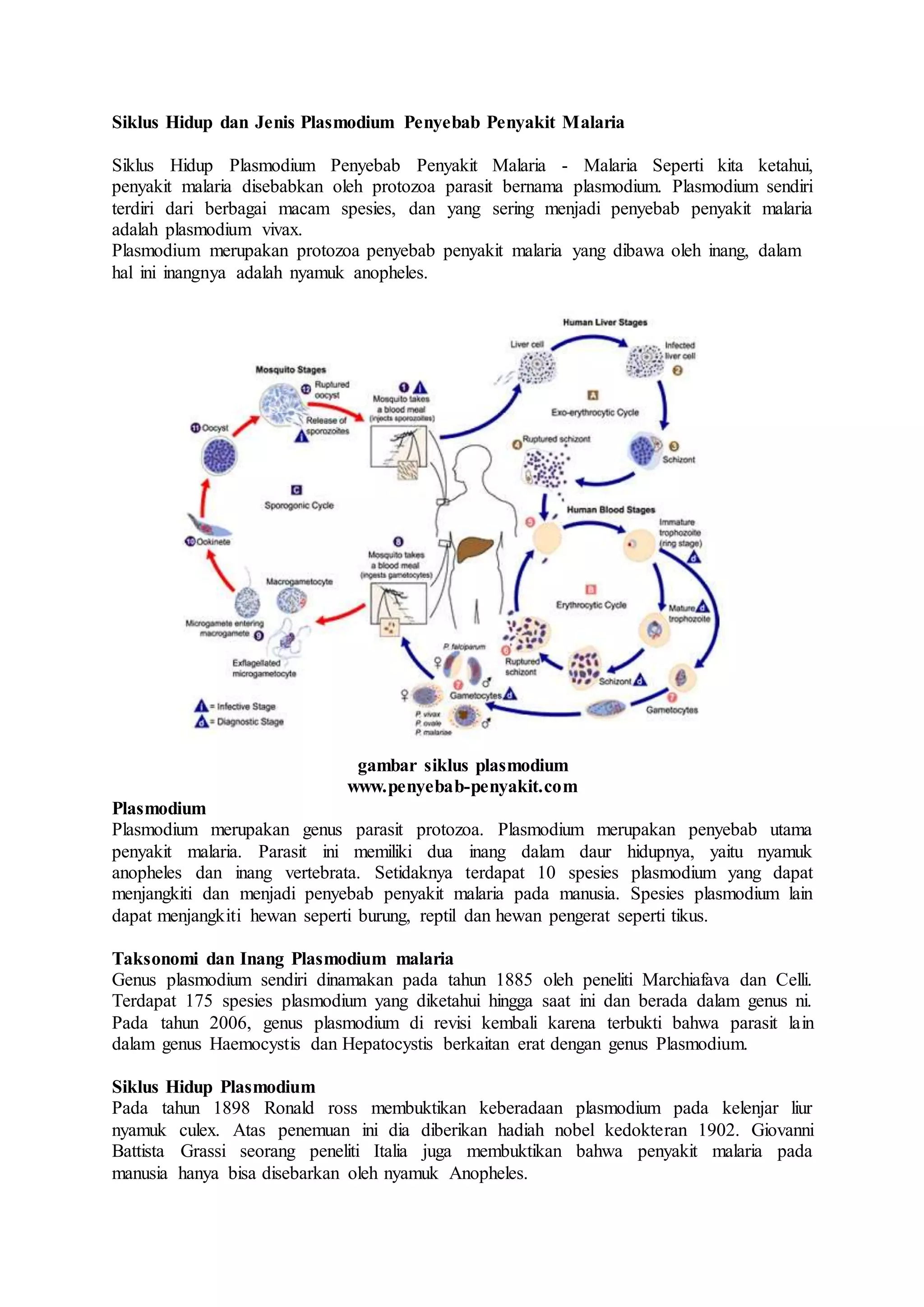 Siklus hidup dan jenis plasmodium penyebab penyakit malaria | DOCX