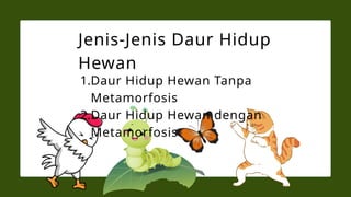 SIKLUS HIDUP HEWAN METOMORFOSIS JULIDA (1).pptx