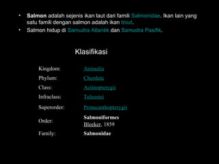 Siklus hidup ikan salmon | PPT