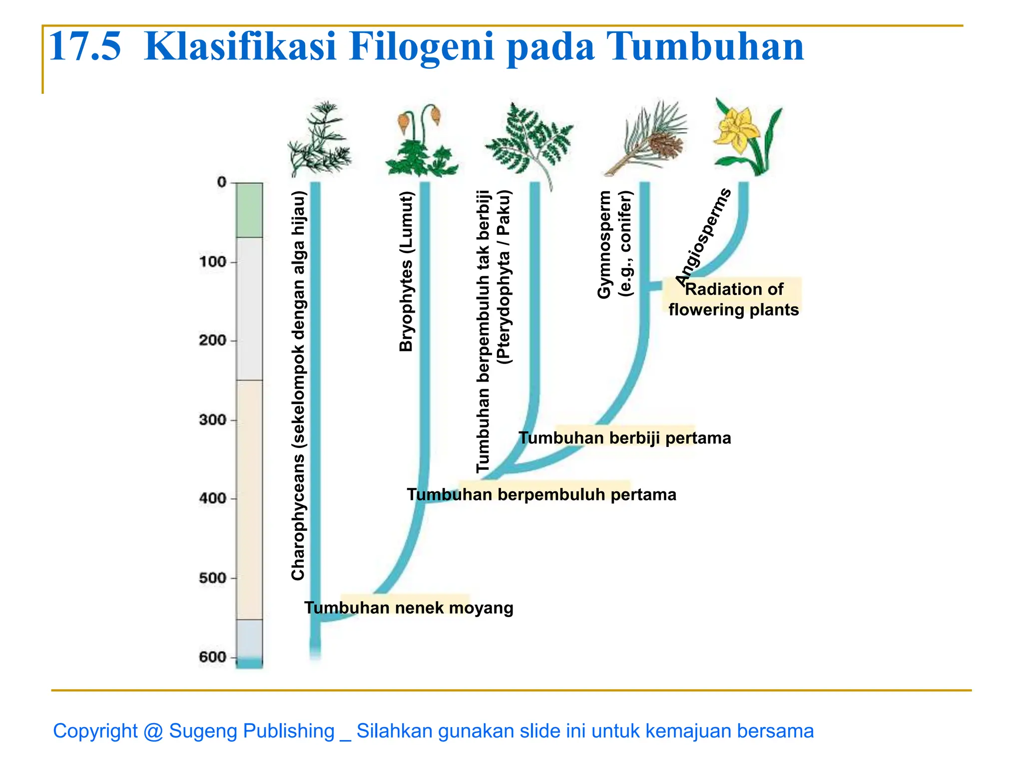 Siklus Hidup Tumbuhan Lumut.ppt